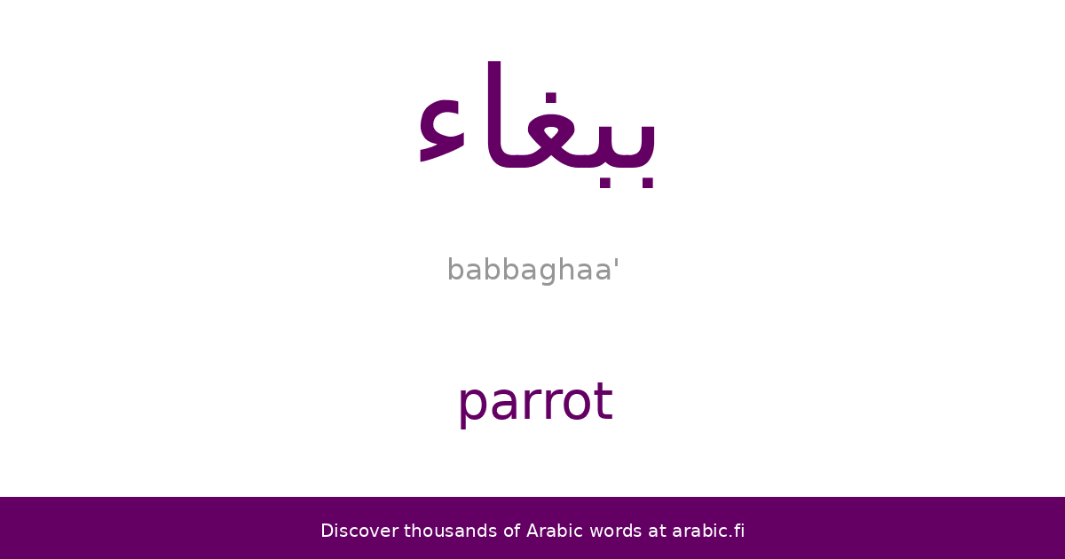 Parrot – an Arabic word