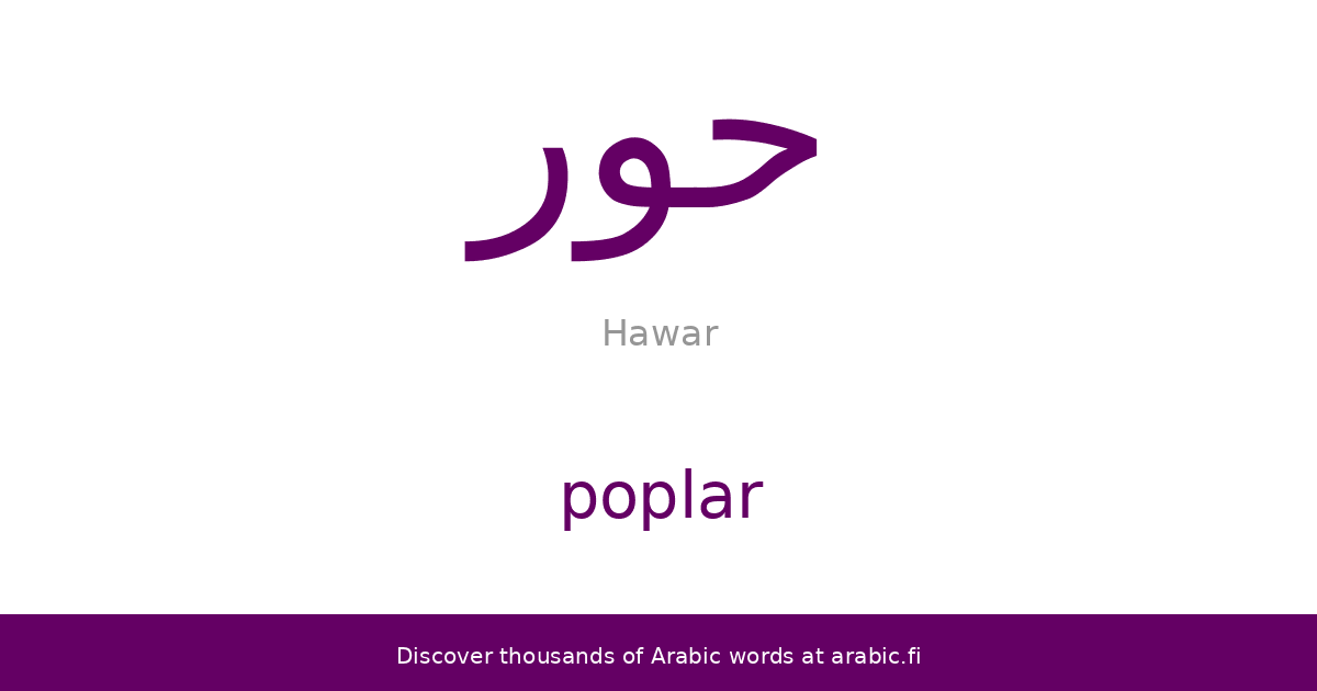 Poplar – an Arabic word